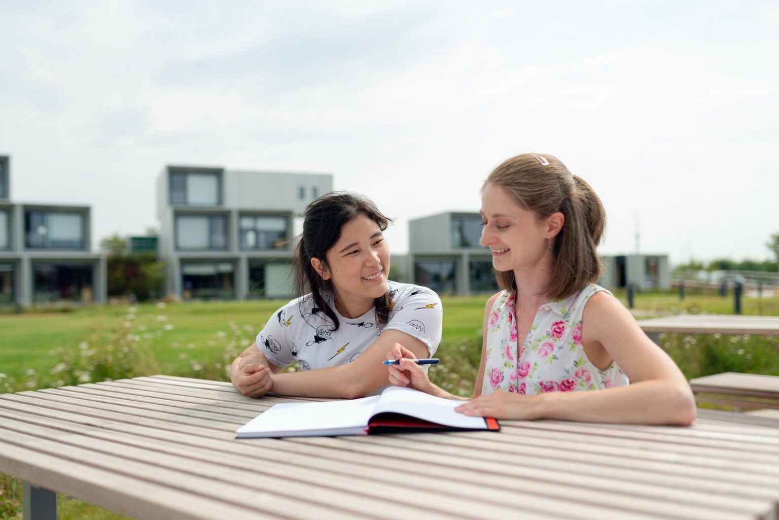 What Private Tutoring Can Do For You Citizen Effect what-private-tutoring-can-do-for-you-citizen-effect